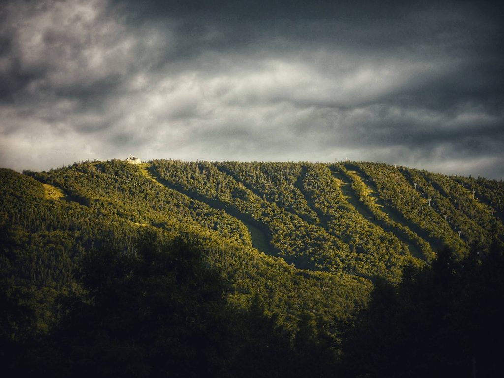 L’avenir du MSA dépendra de la fermeté et de la détermination du ...