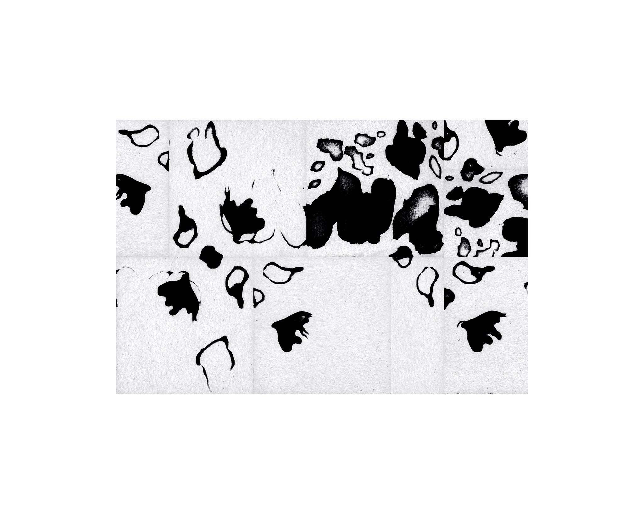 Magalie Boisvert dévoile ses œuvres en sérigraphie chez Engramme